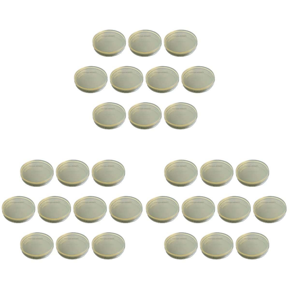 Petri Dish Potato Dextrose Agar Plates Prepoured Potato Dextrose Agar ...