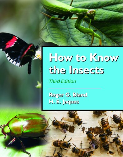 20 Best-Selling Insect Identification Books of All Time - BookAuthority