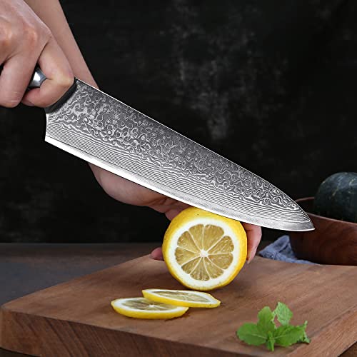 SENKEN 6-Piece Damascus Steel Kitchen Knife Set – Shogun Collection ...