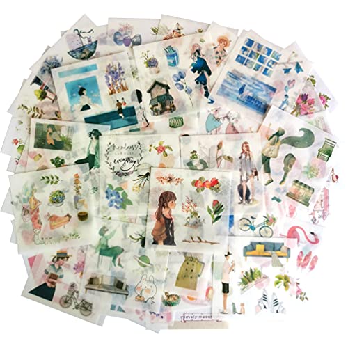 Cat Hand’s Amazon Store's Amazon Page