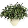 Amazon.com: 12 Pcs Real Touch Artificial Pine Branches with Pine Cones ...