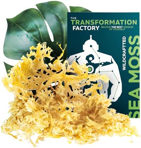 Amazon.com: The Transformation Factory Irish Wildcrafted Sea Moss Raw - Natural Eucheuma ...