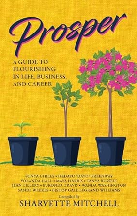 Amazon.com: Prosper: A Guide to Flourishing in Life, Business, and ...