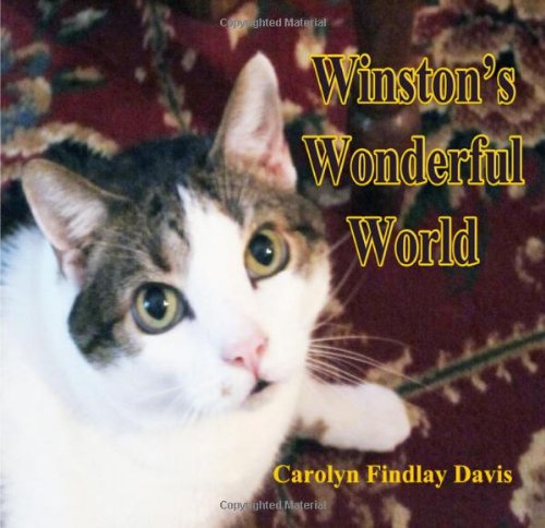 Winston's Wonderful World: Carolyn Findlay Davis: 9780983851332: Amazon ...