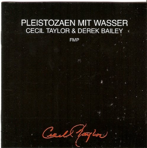 Pleistozaen Mit Wasser: Taylor & Bailey: Amazon.in: Music}