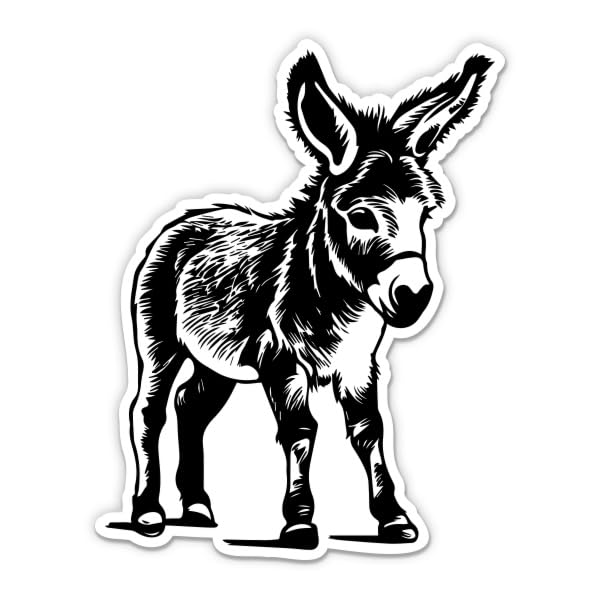 Amazon.com: Donkey Cute Baby Vinyl Sticker - Car Phone - 3" : Sports ...