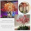 Amazon.com: Artificial Red Maple Tree, Realistic Large Japanese Red ...