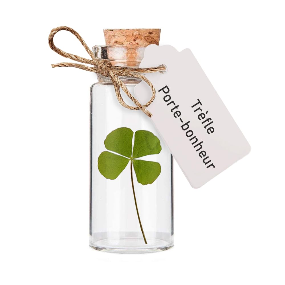 Trèfle à 4 feuilles porte-bonheur dans une fiole en verre pour porter ...