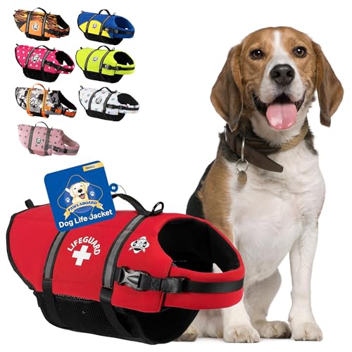8 Best Dog Life Jackets [2024 Reviews & Ratings]