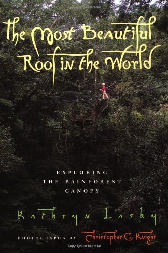 The Most Beautiful Roof in the World: Exploring the Rainforest Canopy ...