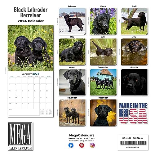 Snapklik.com : Black Labrador Calendar 2024 - Dog Breed Wall Calendar