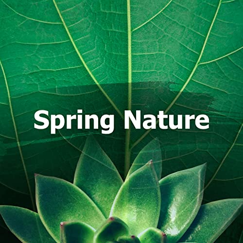 Amazon.com: Spring Nature : When Nature Calls: Everything Else