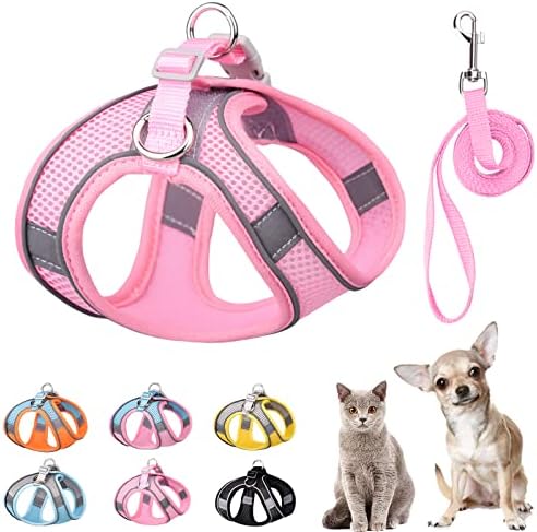 Amazon.com : TomteNisse Dog Harness and Leash Set, No Pull Pet Harness ...
