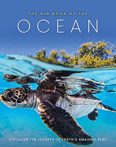 Amazon.co.uk Best Sellers: The most popular items in Underwater Photography