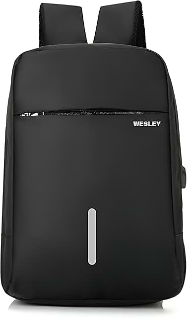Amazon.in: Wesley - Bags & Backpacks: Bags, Wallets And Luggage