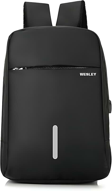 Amazon.in: Wesley - Bags & Backpacks: Bags, Wallets And Luggage