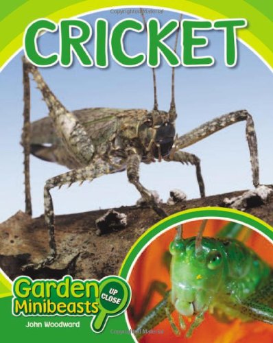 Amazon | Cricket (Garden Minibeasts Up Close) | Woodward, John | Bugs ...