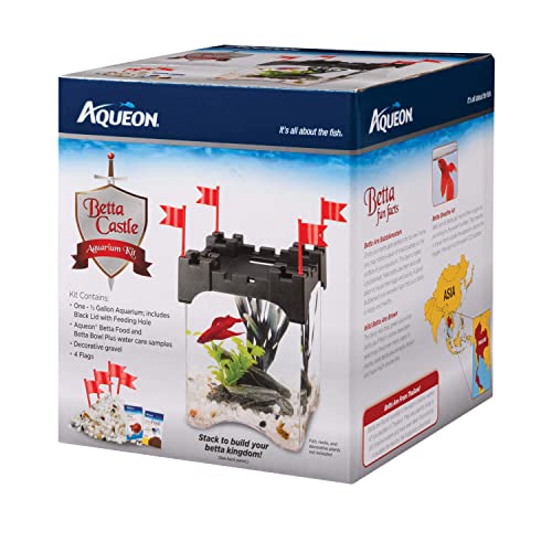 Aqueon Betta Falls Tank: A Detailed Overview - Animals Log
