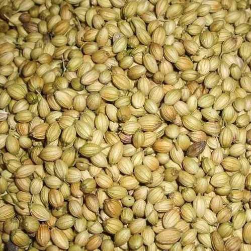 Zone Marketing Kotha Malli/Nattu Malli/Coriander Seeds Whole/Dhaniya ...