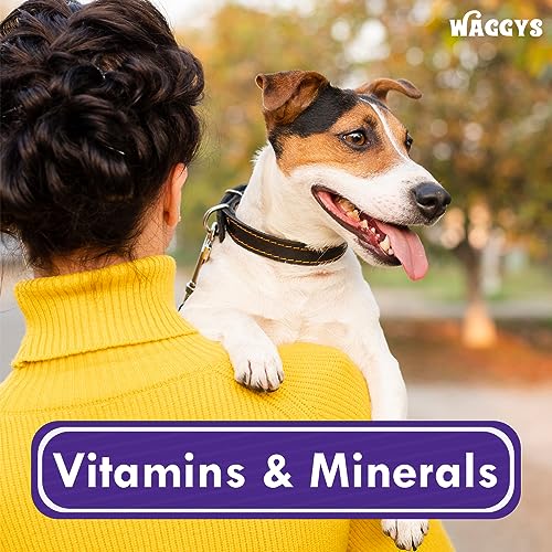 Waggys Dog Chocolate Drops 100% Safe Choc Button Treats for Dogs ...