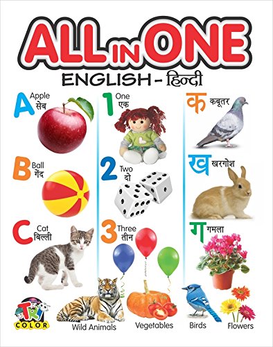 Buy All in One English Hindi Book Online at Low Prices in India | All ...