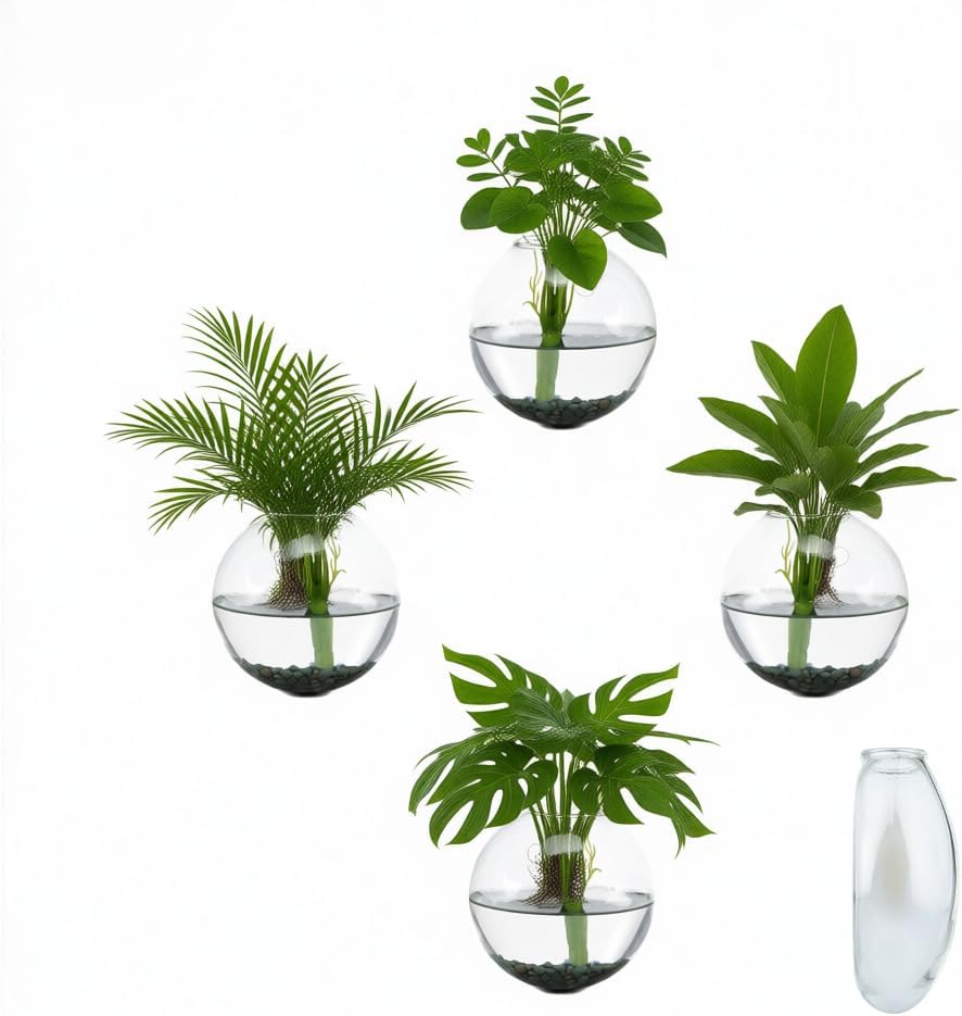 Amazon.com: OQUQO 4 pcs Glass Wall Hanging Planter, Oval Terrarium Vase ...