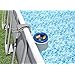Amazon.com : Bestway Flowclear Wall Mount Surface Skimmer | Cleans ...