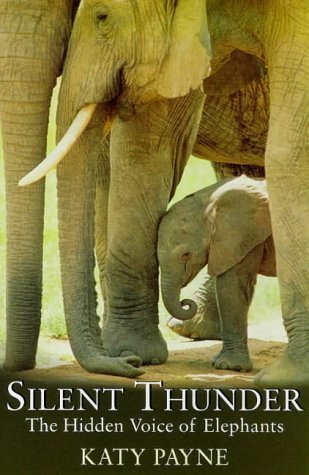 Silent Thunder: Hidden Voice of Elephants: Amazon.co.uk: Payne, Katy ...