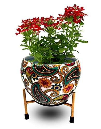 Multicolor Finished Elegant Table Top Planters Set Of, 57% OFF