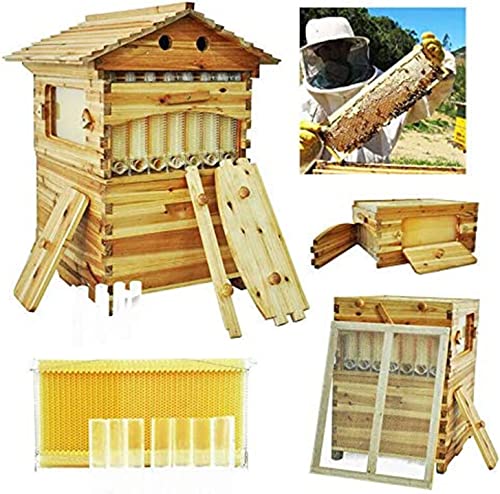 Este es el Top 20 Colmenas Súper Ventas en Internet -【2023】