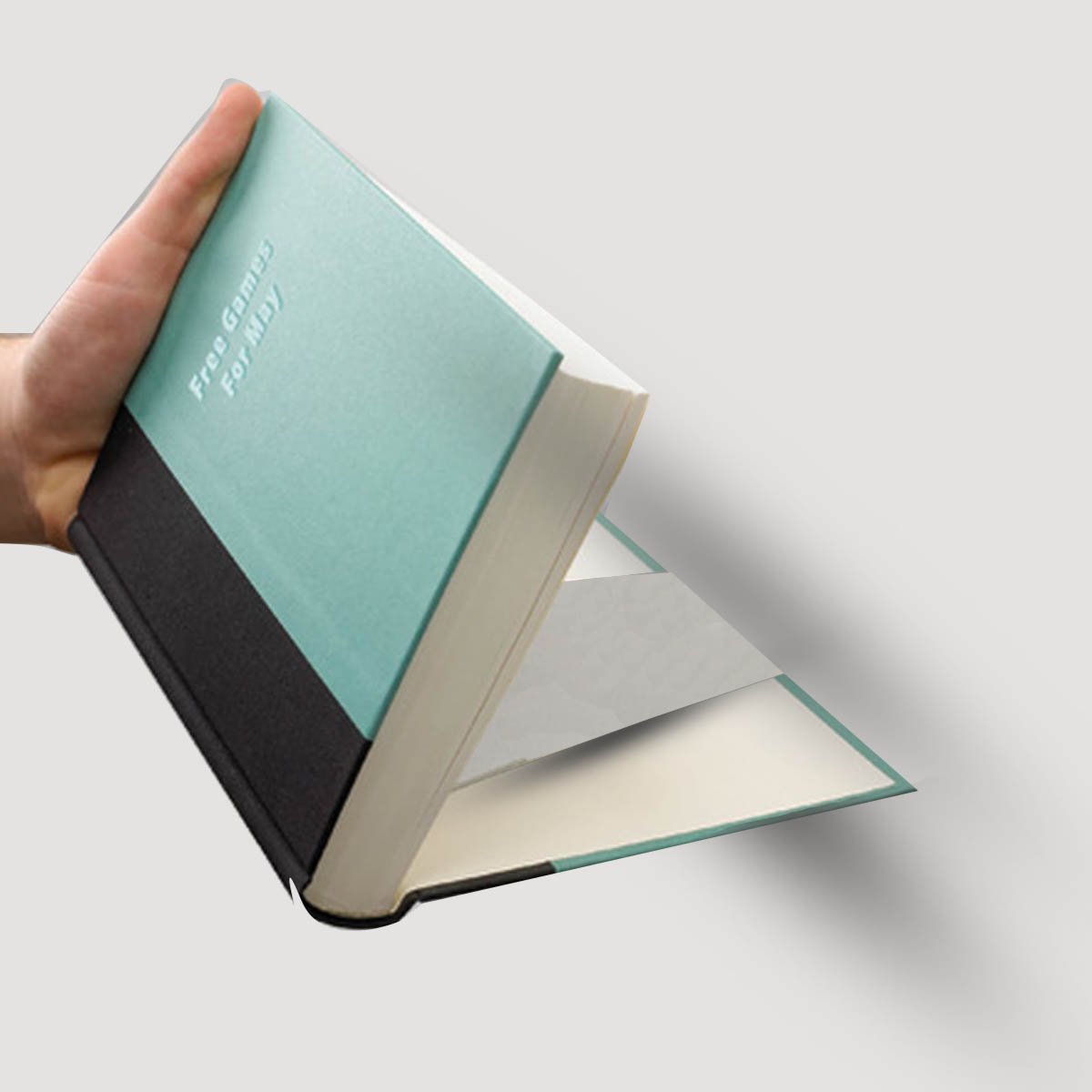 incho Invisible Conceal Steel Book Shelf (Silver) - Set of 2 : Amazon ...