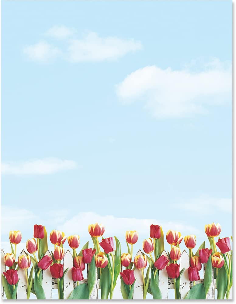 Amazon.com : Paperdirect Tulip Garden Flower Spring Theme Paper ...