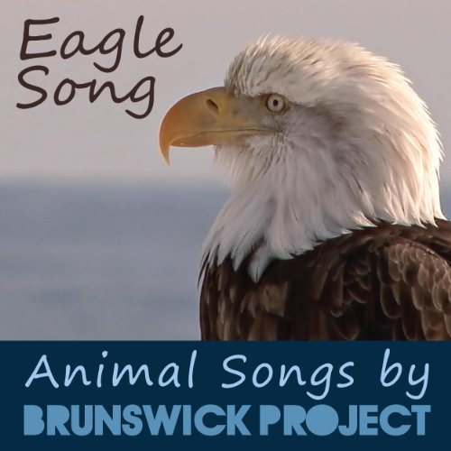 Amazon.com: Eagle Eyes : Brunswick Project: Digital Music