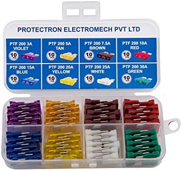 Protectron Electro TIME DELAY Glass cartridge Fuses 5x20mm- 80pc ...