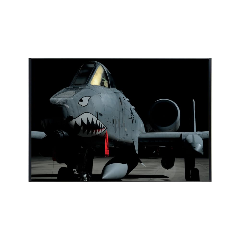 Amazon.com: A-10 Warthog Poster - Military Aviation Wall Art - Airforce ...