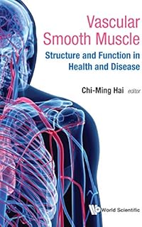 Mechanisms Behind Vascular Smooth Muscle Contraction: Key Triggers And ...