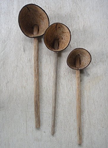 NatureLoc Coconut Shell Ladles : Amazon.in: Home & Kitchen