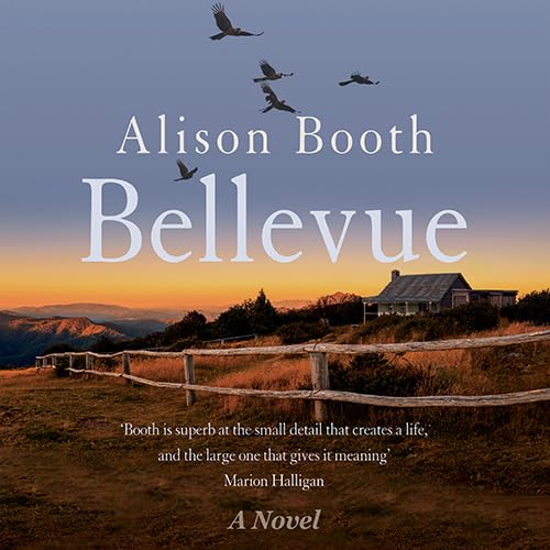 Bellevue: Booth, Alison, Armytage, Lisa: 9781399137119: Amazon.com: Books