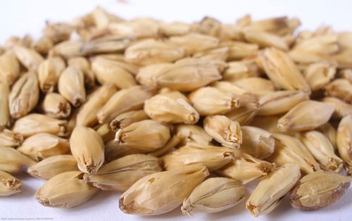 Amazon.com: 10 lb 6 Row Malt : Grocery & Gourmet Food