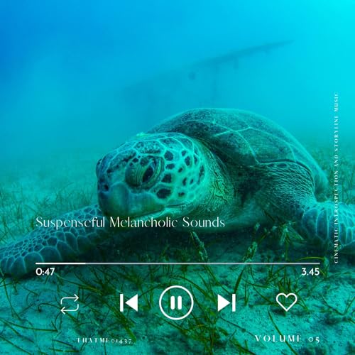 Amazon MusicでLoom HarmonikのSuspenseful Melancholic Sounds - Cinematic Introspection and ...