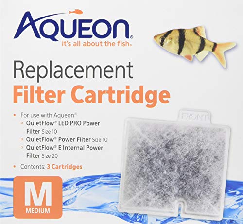 Aqueon Betta Falls Tank: A Detailed Overview - Animals Log