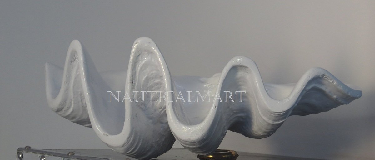Amazon.com: Large White Clam Shell Beautiful Seashell Bowl : Home & Kitchen