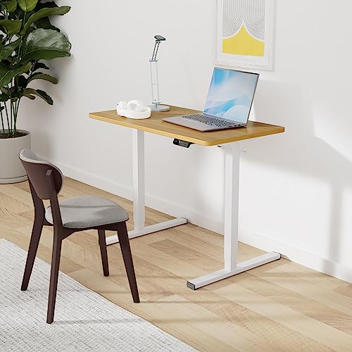 Snapklik.com : FLEXISPOT Quick Assembly Standing Desk, Whole-Piece ...
