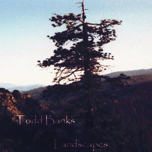 Play Landscapes by Todd Banks on Amazon Music