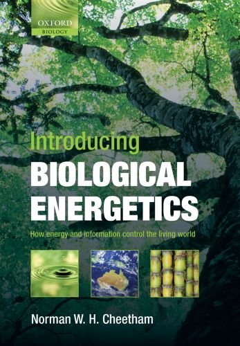 Amazon.com: Introducing Biological Energetics: How Energy and ...