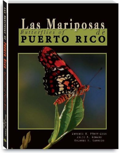 Butterflies of Puerto Rico - Las Mariposas de Puerto Rico : Amazon.in ...