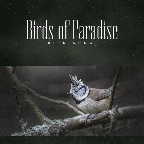 Amazon MusicでBird SongsのBirds of Paradiseを再生する