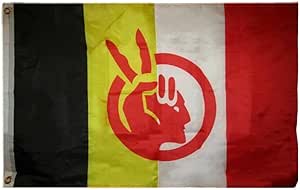 Amazon.com: Ant Enterprises 2x3 Ft American Indian Movement Flag Native ...
