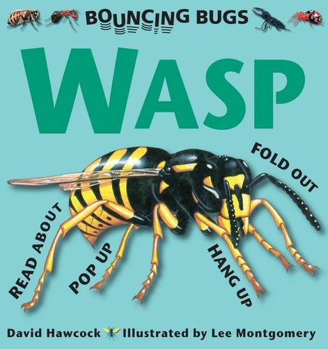 Amazon | Bouncing Bugs - Wasp | Hawcock, David, Montgomery, Lee | Ecology