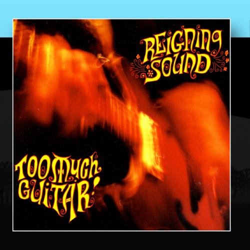 Reigning Sound - Too Much Guitar - Amazon.com Music